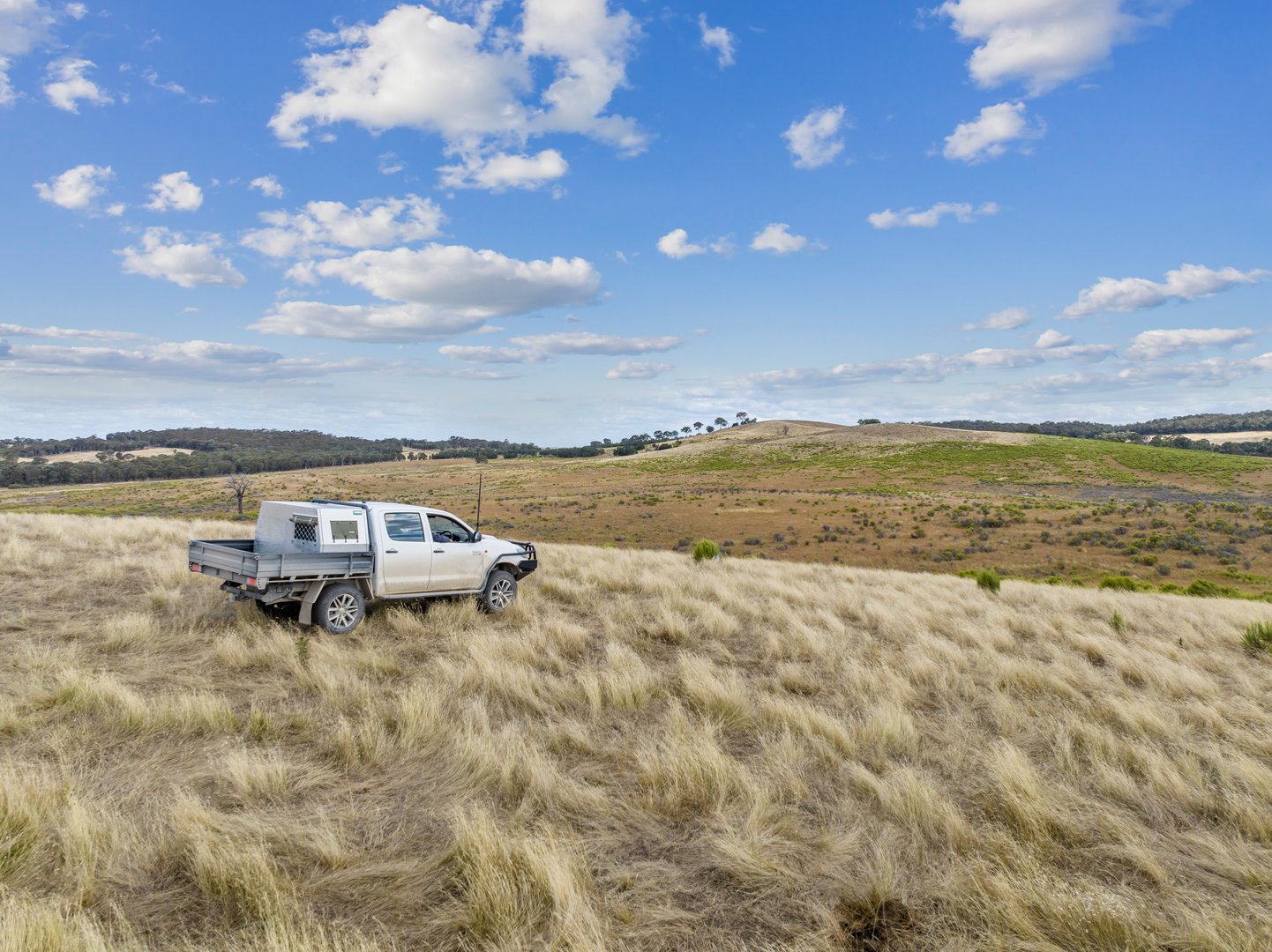 103 Maryvale Rd, Bevendale NSW 2581 | Allhomes