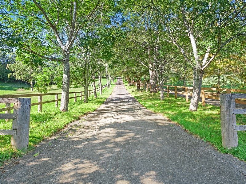 194 Matcham Road, Matcham NSW 2250 | Allhomes