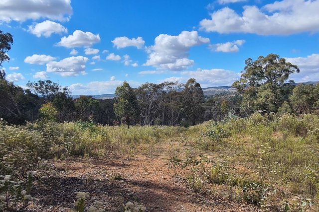 Real Estate for Sale in Sutton, NSW 2620 | Allhomes