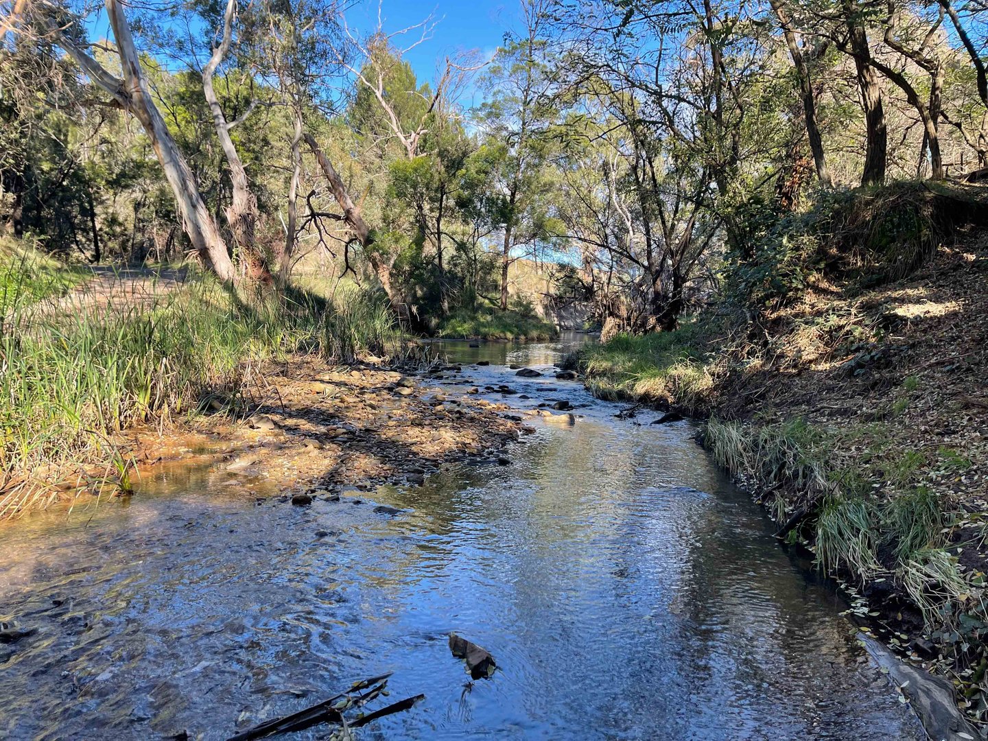 442 Covan Creek Road, Lake Bathurst NSW 2580 | Allhomes
