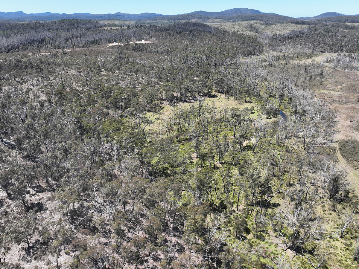 307 Quilty Road, Wog Wog NSW 2622 | Allhomes