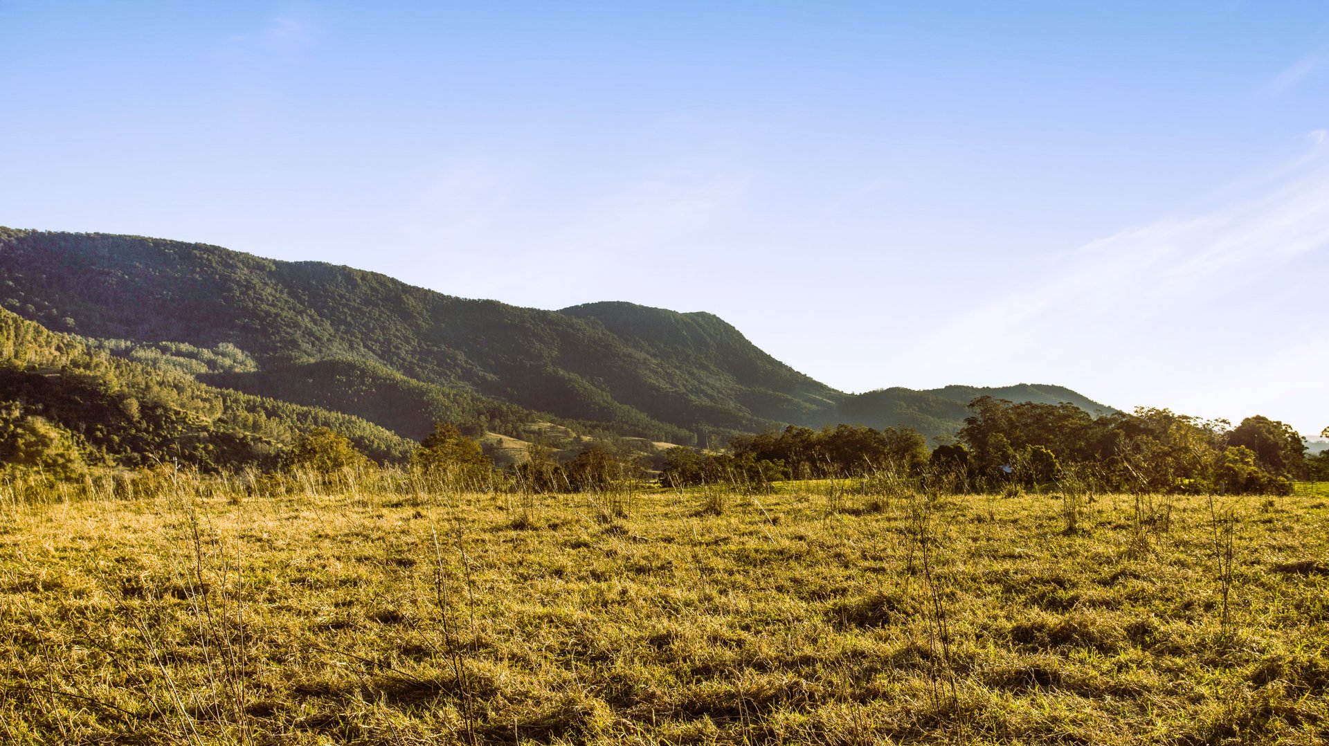 1187B Nowendoc Road, Mount George NSW 2424 | Allhomes