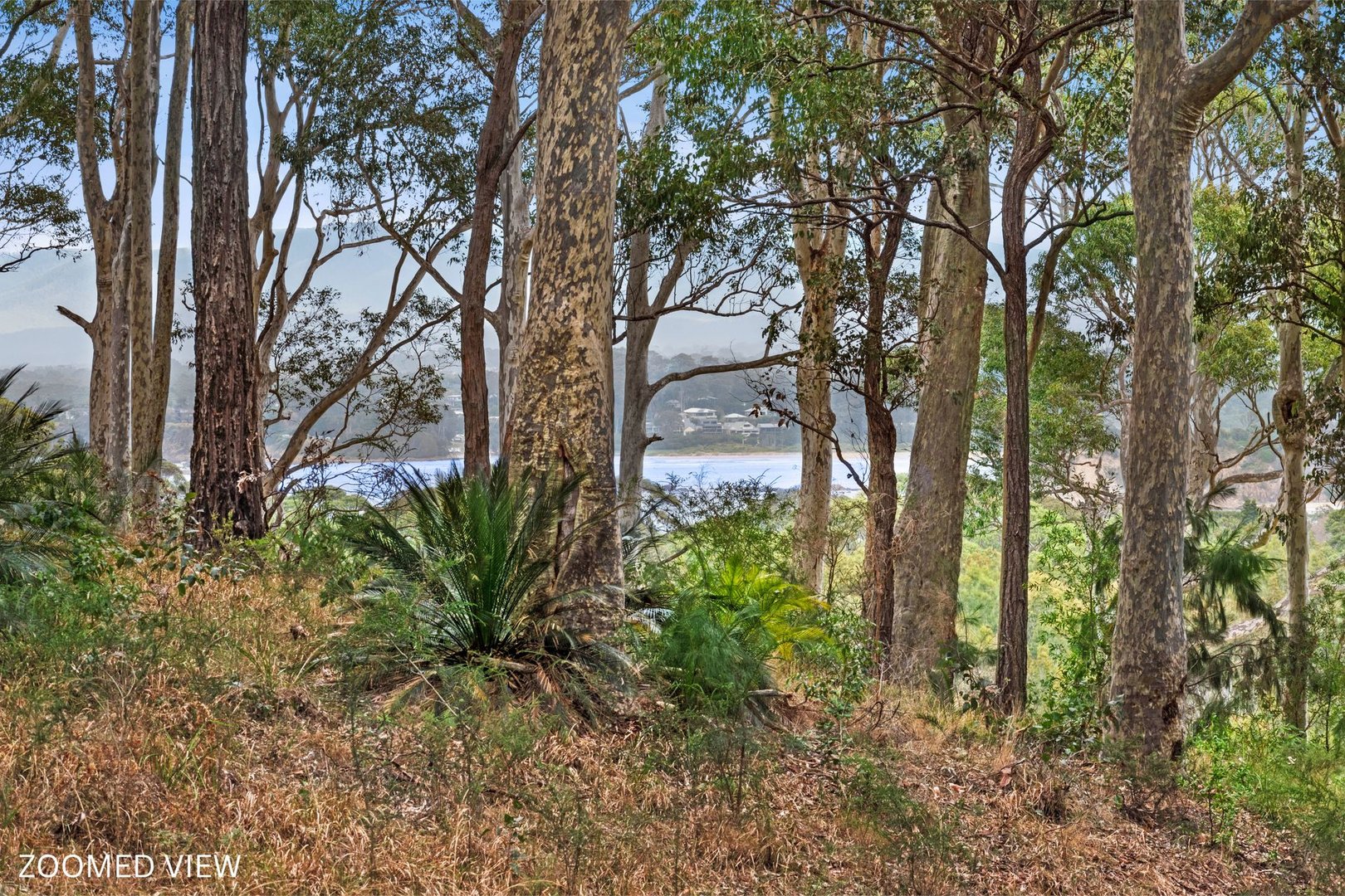 21 Roseby Drive, Rosedale NSW 2536 | Allhomes