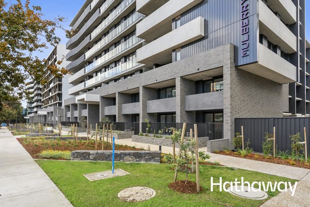 Real Estate for Rent in Dickson, ACT 2602 | Allhomes