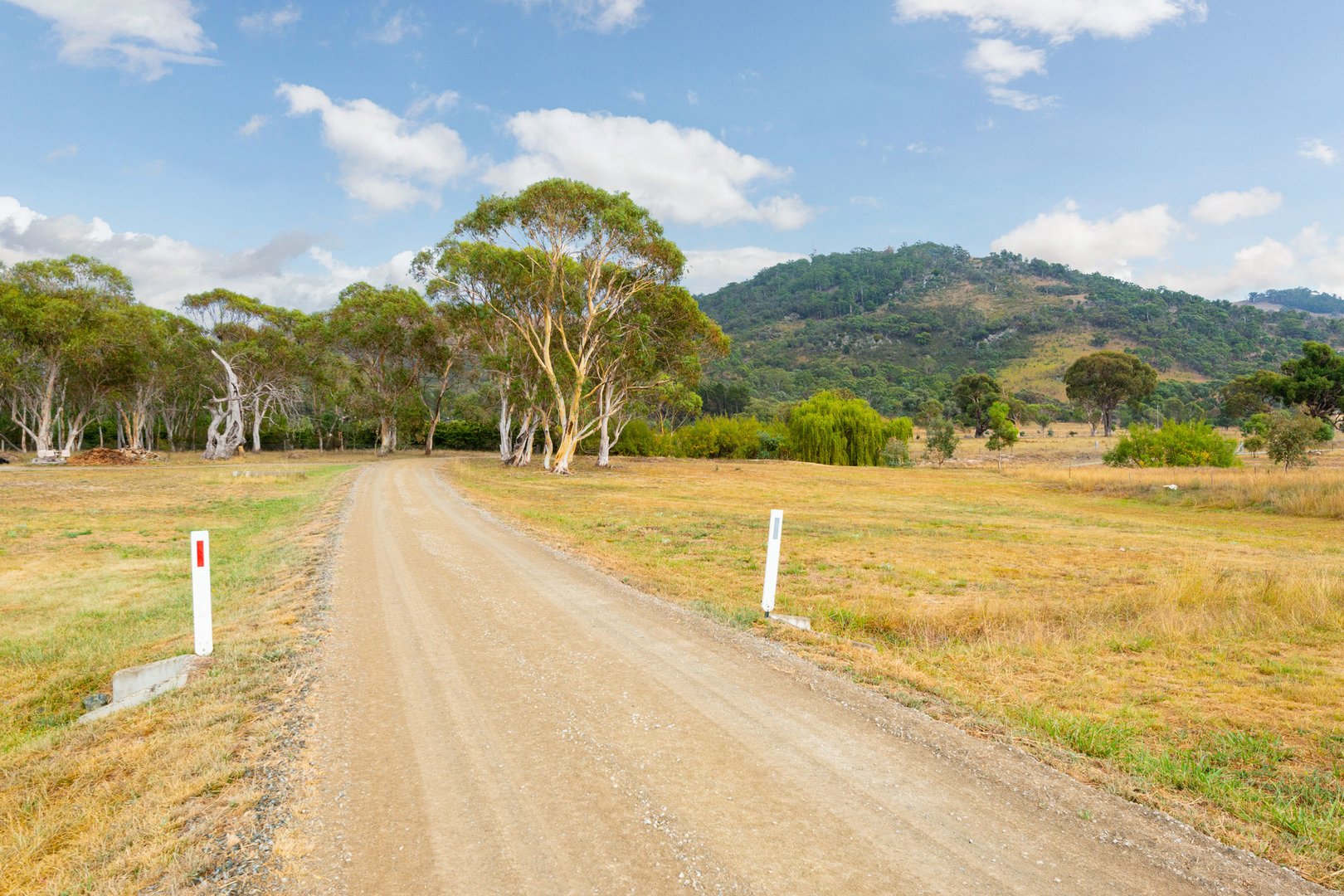 343 Williamsdale Road, Burra NSW 2620 | Allhomes