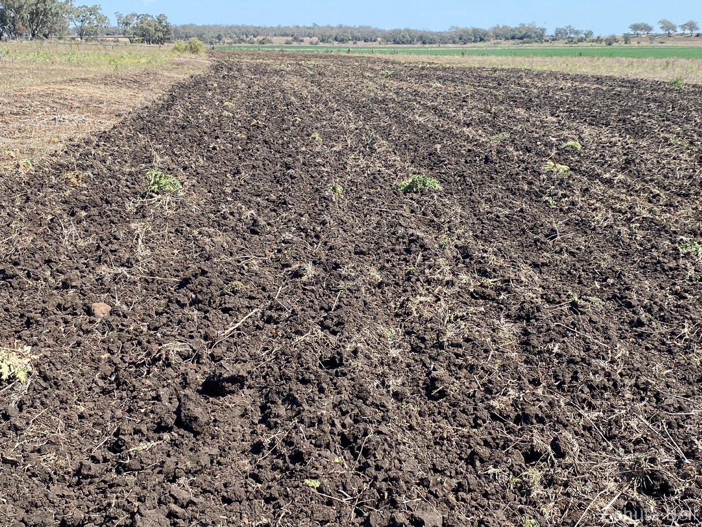 Hillside Ruhle Rd, Mount Tyson QLD 4356 | Allhomes