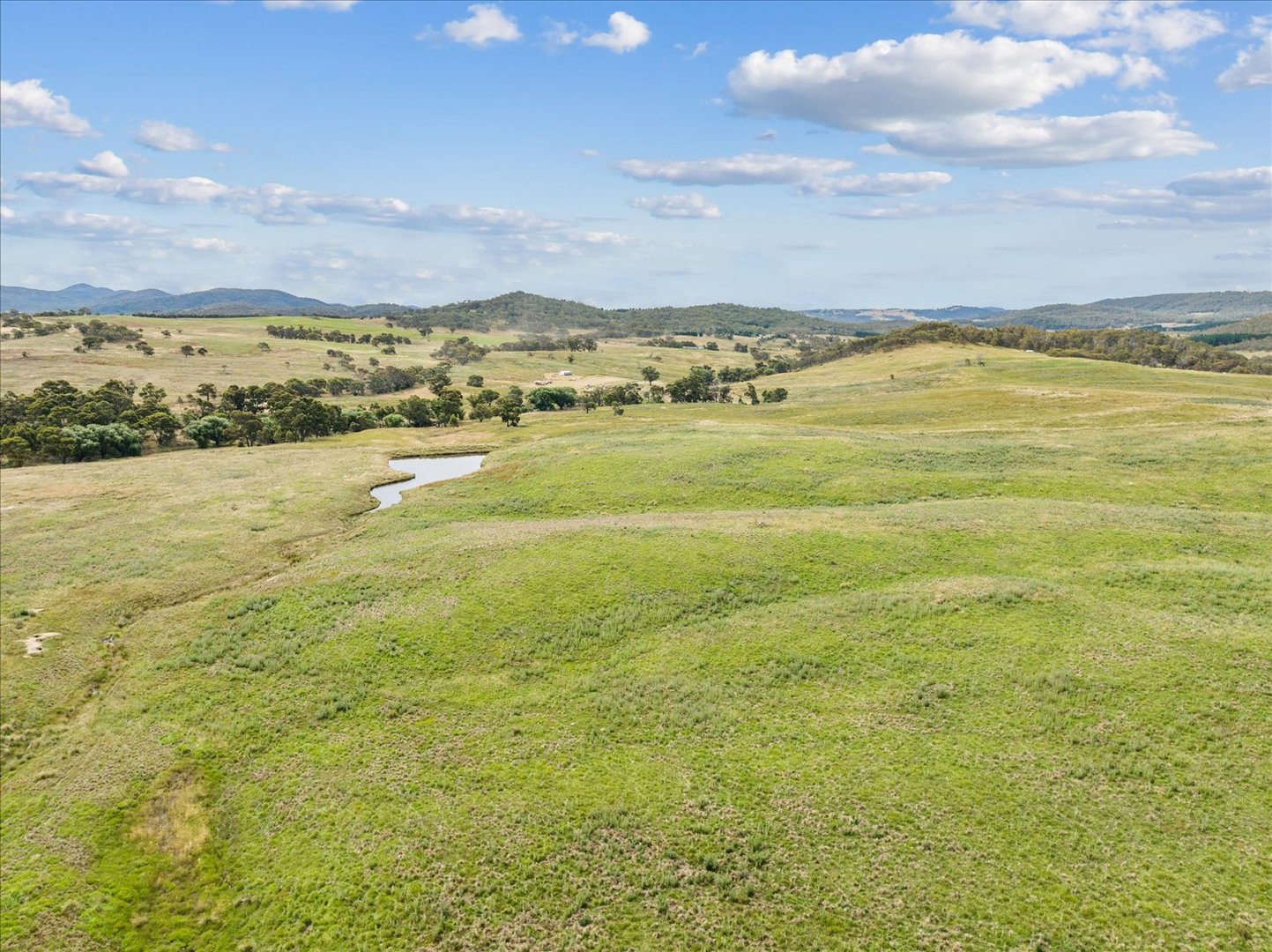 4436 Jerangle Road, Anembo NSW 2621 | Allhomes