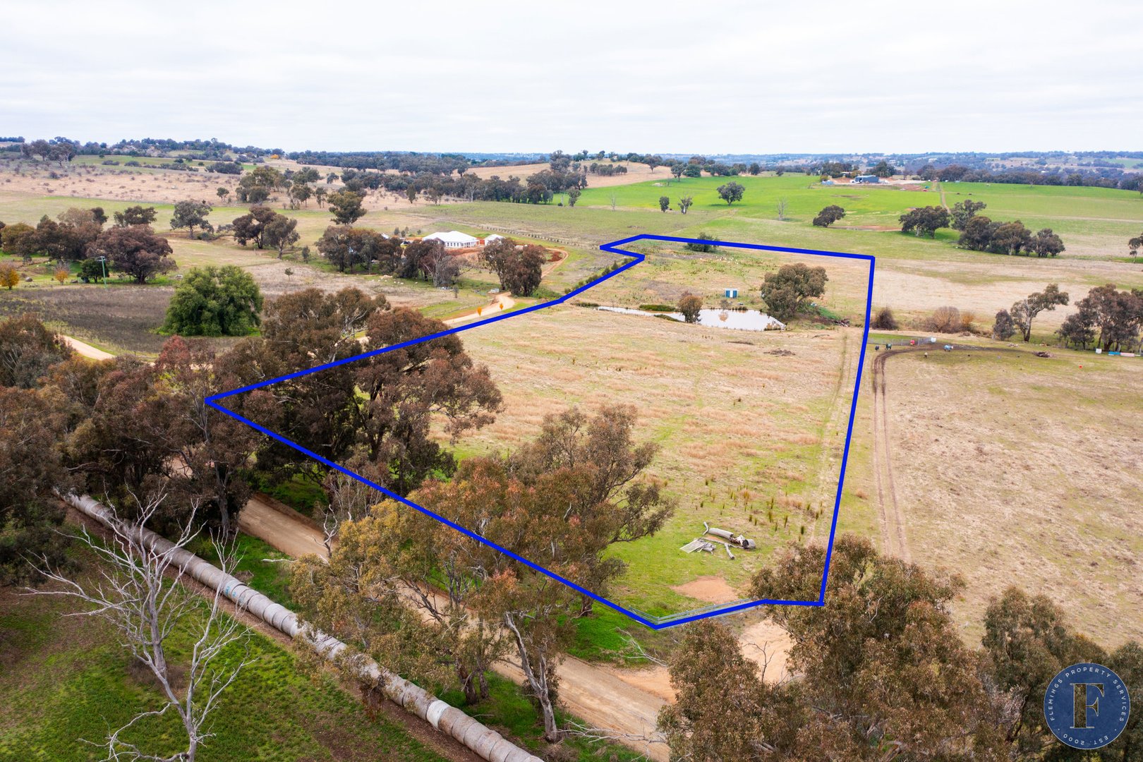 141 Forbes Lane, Young NSW 2594 | Allhomes