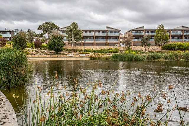 Real Estate for Rent in Casey, ACT 2913 | Allhomes