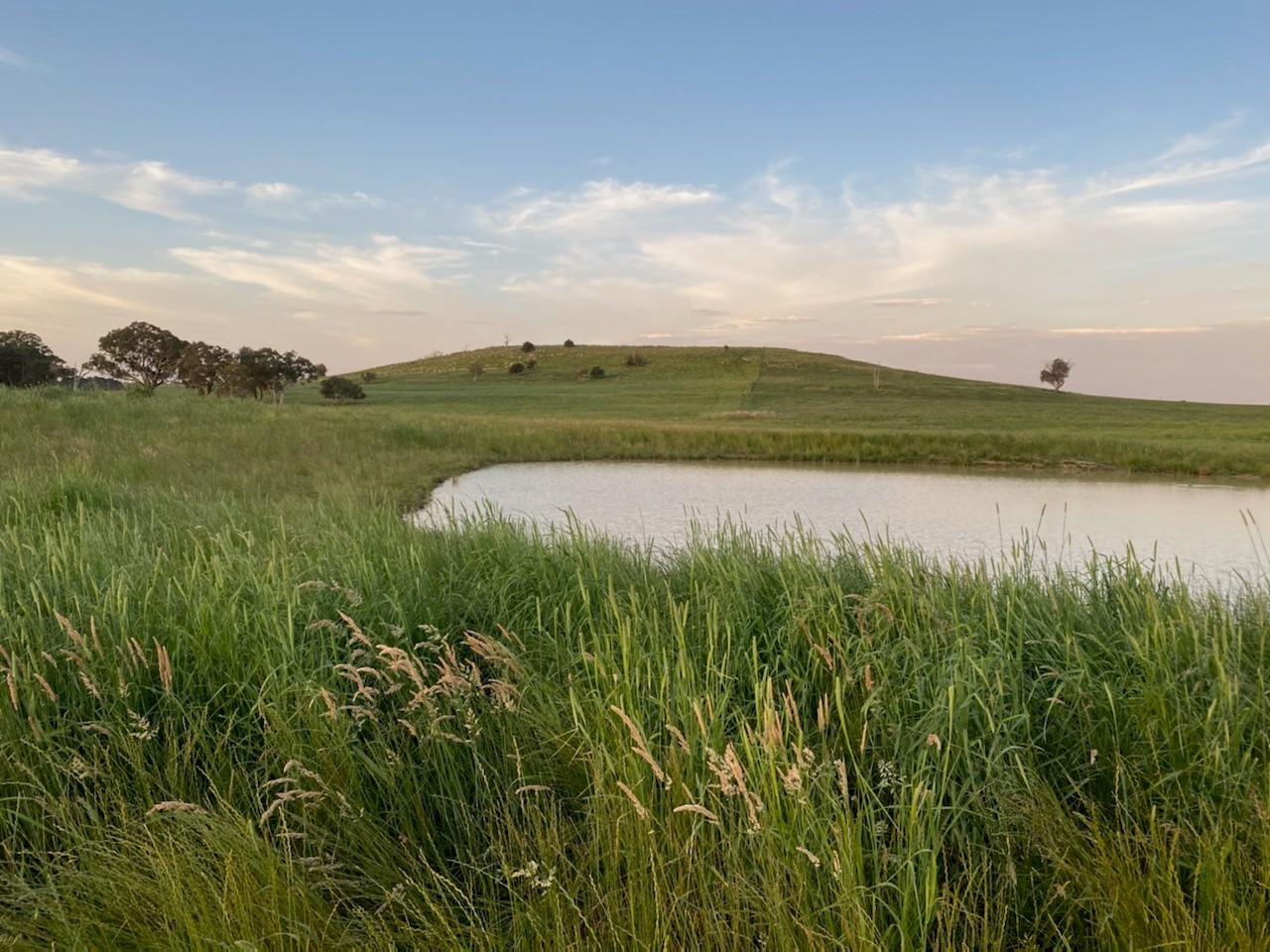 2717 Sapphire Road, Wheeo NSW 2583 | Allhomes
