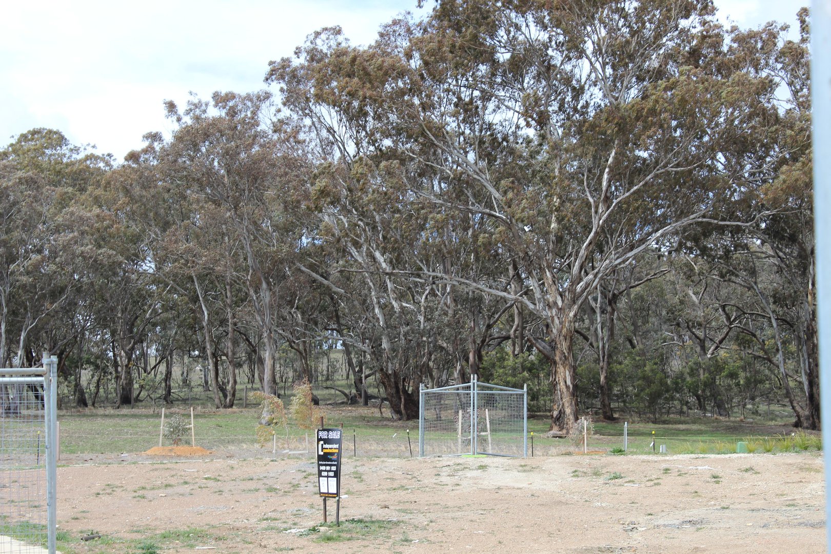 20 Spillett Street, Forde ACT 2914 | Allhomes