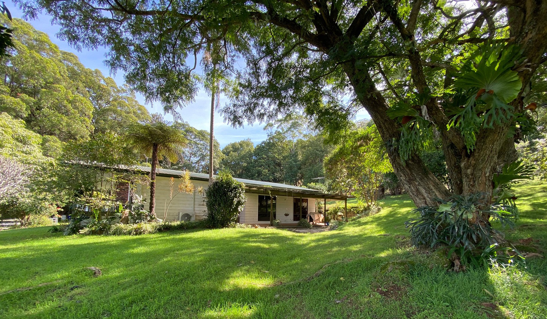 164 South Boambee Road, Boambee NSW 2450 | Allhomes