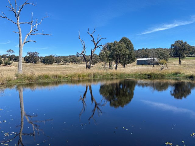 Real Estate for Sale in Sutton, NSW 2620 | Allhomes