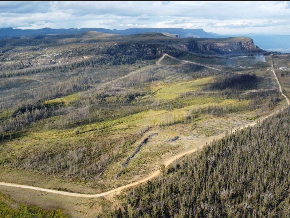 421 Rose Valley Road, Wog Wog NSW 2622 | Allhomes