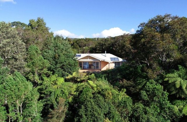 Real Estate for Sale in Springbrook, QLD 4213 | Allhomes