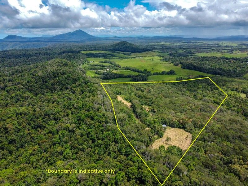 168 Nine Mile Road, Julatten QLD 4871 | Allhomes