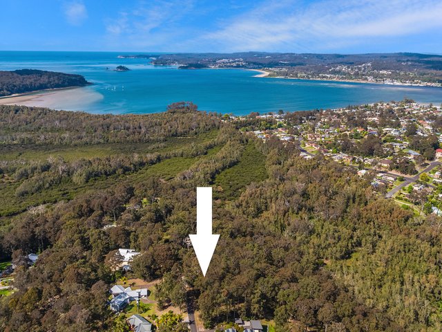 Real Estate for Sale in Surfside, NSW 2536 | Allhomes